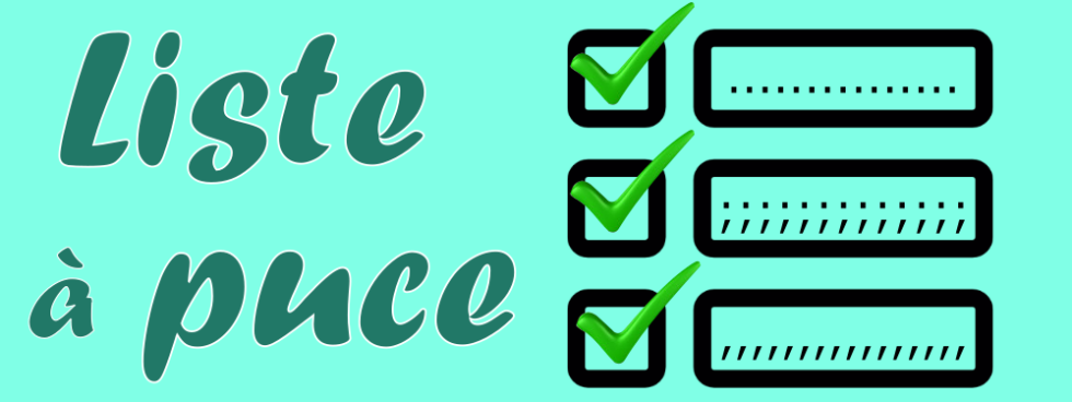 La ponctuation de la liste à puce